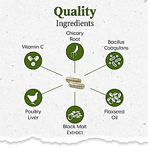 Ark Naturals Gentle Digest Capsules, Vet Recommended Dog and Cat Prebiotics and Probiotics, Digestive and Immune System Support, 60 Count