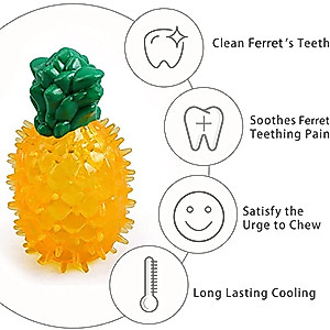 HAICHEN TEC 3 Pack Ferret Cooling Chew Toys, Frozen Fruit Shape Teething Toy for Ferret, Durable Bite Resistant Summer Interactive Squeaky Toys Pet Treat Training Tools for Small Animal (3 Pack)