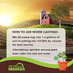 20 oz 100% Organic Worm Castings – Natural Superfood for Plant Growth, Root Development & Growing Healthier, Stronger Crops – Non Toxic & Kind to Soil – Resealable Zip Pouch – Life Cycle Organics