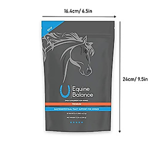 Equine Balance Premium Daily Supplement for Horses | Organic Advanced Bio-Nano Technology to Support Digestive Health | Improves Stamina | Immunity and Joint Support | 30 Day Supply | 5 oz