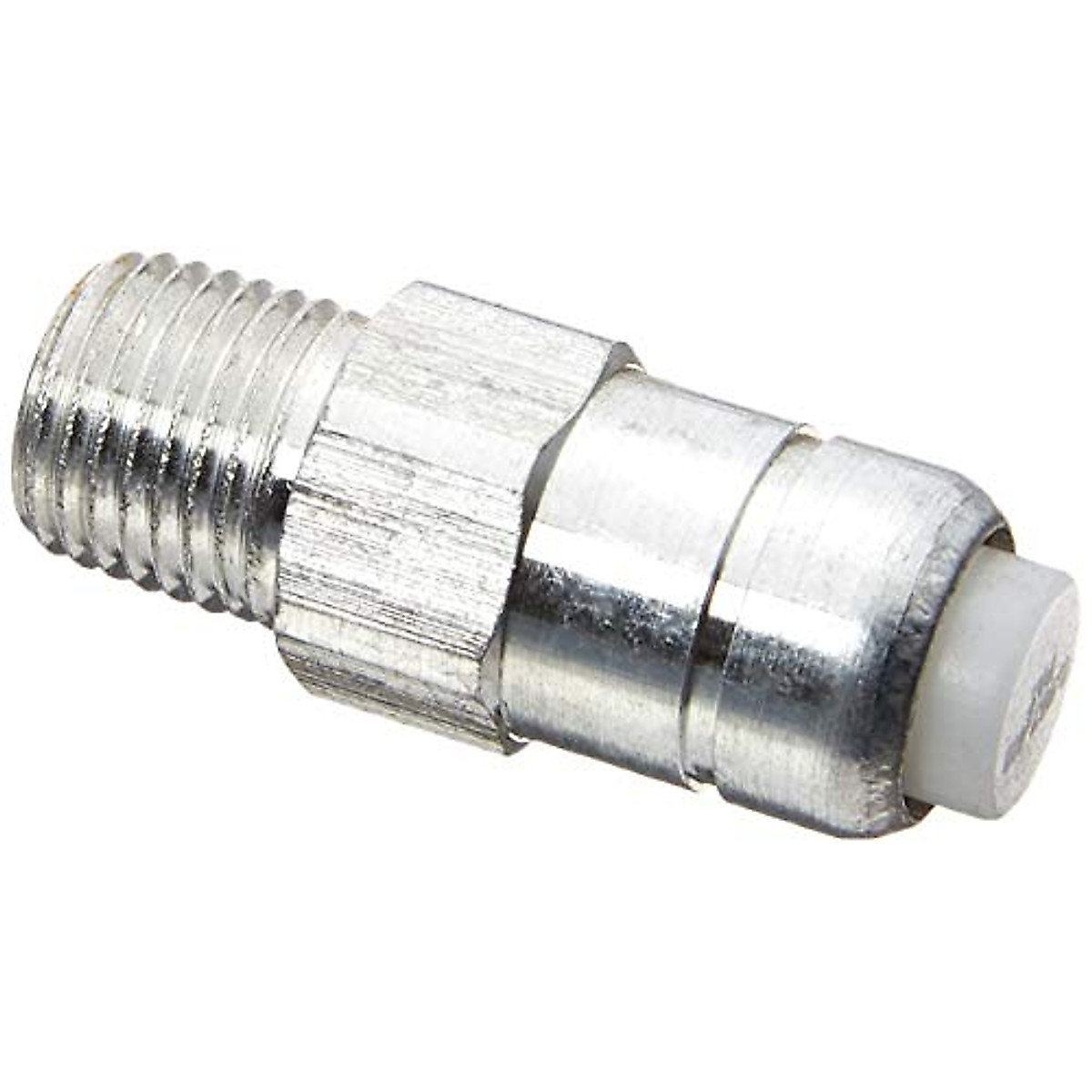 AR North America TPP1401/4A Thermal Relief Valve, 1/4-Inch