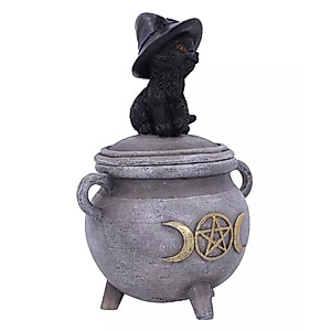 Pacific Giftware Black Cat with Witch Hat Sitting on Cauldron Box, Polyresin Jewelry or Coin Holder, 3.93 Inches x 3.14 Inches x 5.5 Inches