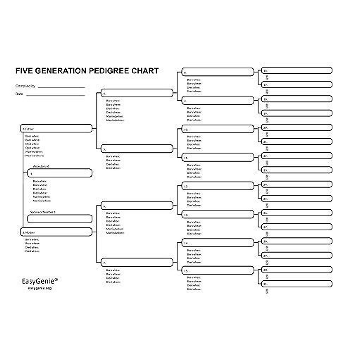 Five Generation Pedigree Charts for Genealogists (7-pack) | Archival-Quality Genealogy Forms for Ancestry