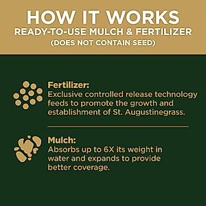 EZ Seed Patch For St. Augustine Grass, 3.75-Lb., Covers 85 Sq. Ft.