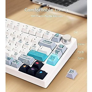 GK GAMAKAY TK75 75% Mute Mechanical Keyboard with Knob Control, Hot Swap RGB Bluetooth 5.0/2.4GHz Wireless/USB-C Wired PBT Cherry Profile Keycaps Silent Gaming Keyboard (GamaKay Pegasus Switch)
