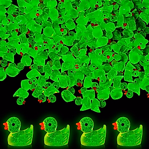 Glimin 500 Pcs Luminous Mini Resin Ducks Tiny Glow in The Dark Ducks Miniature Ducks Small Ornament Decoration for Home School Micro Garden Landscape Aquarium Ornament Dollhouse Accessories(Green)