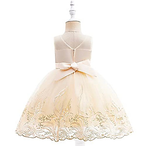 LENEFU Baby Girl Dress Kids Formal Flower Lace Embroidery,Sleeveless Princess Gown for Party Wedding Pageant(Champagne130)