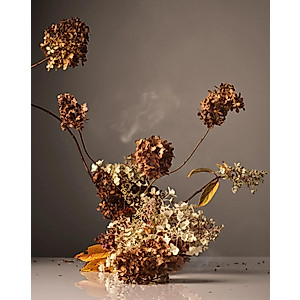 Homecourt Surface Cleaner Spray, All-Purpose, Clean Formula, 16 fl oz Cece