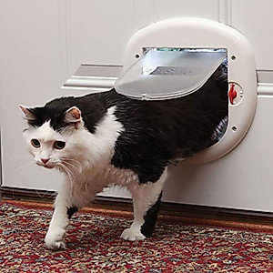 PetSafe Exterior / Interior Cat Door: Staywell Big Cat 4-Way Locking Pet Door Flap for Large Cats - Tinted Privacy Door - Weatherproof, Durable Door Frame - DIY Easy Install with Hardware Kit Included