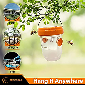 Trapable 3 Pack Carpenter Bee, Yellow Jacket and Wasp Traps for Outdoors – Hanging Design with Solar LED Light Catch Flying Insects from Patio, YardGarden Within Hours Flies, Hornets and Wasp Killer