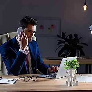 LUMI Small Succulent Pot with Drainage (6.3 Inches) - Cute Ceramic Pots for Flowers, Bosnai and Cactus -Planter for Indoor Plants - Nice Home Decor Idea