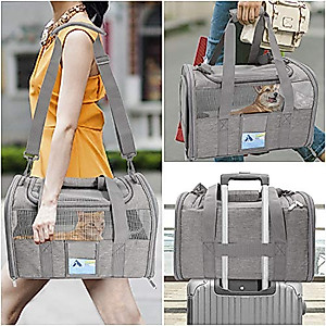 Refrze Pet Carrier Airline Approved, Cat Carriers for Medium Cats Small Cats, Soft Dog Carriers for Small Dogs Medium Dogs, TSA Approved Pet Carrier for Cats Dogs of 15 Lbs, Puppy Carrier,Grey