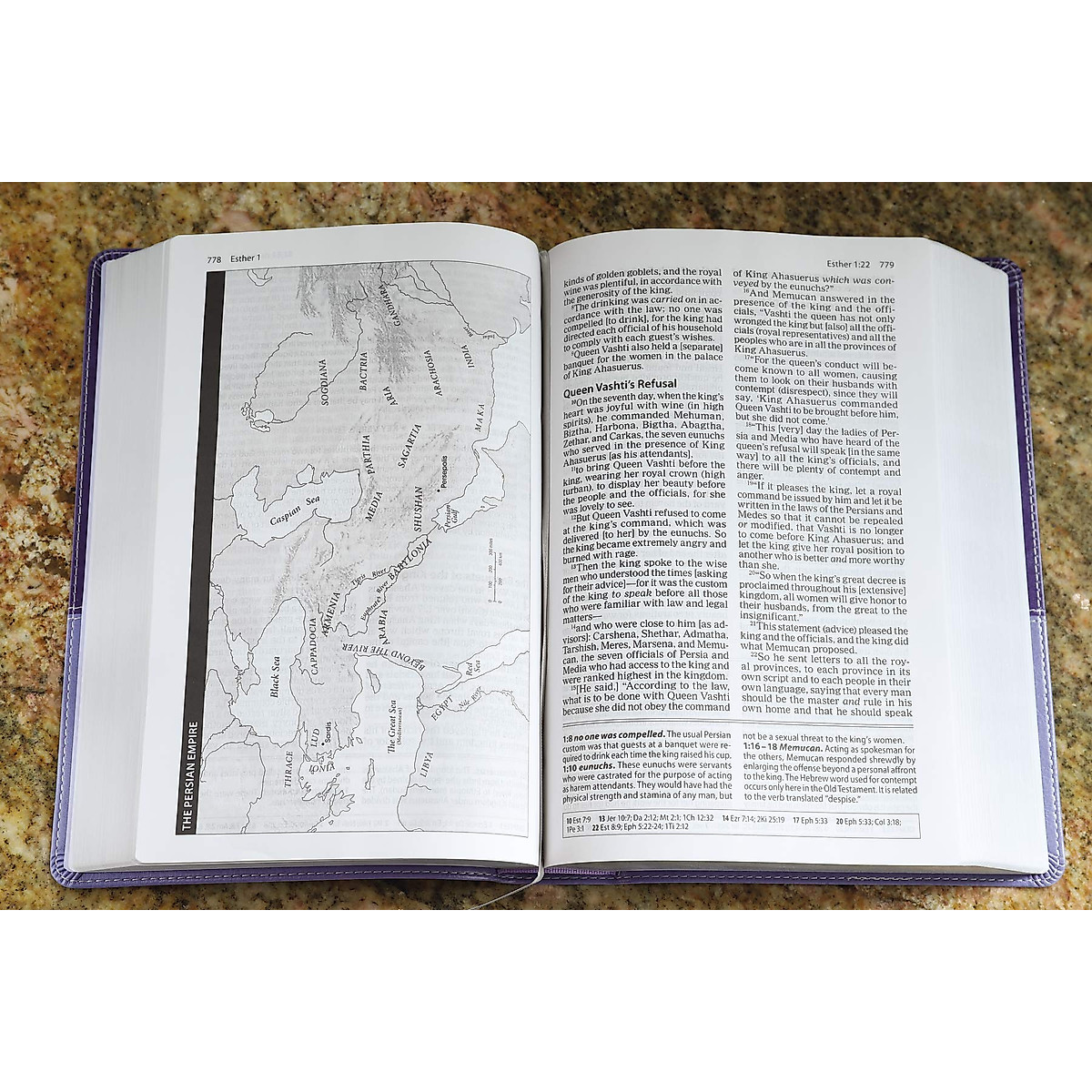 The Amplified Study Bible, Leathersoft, Purple