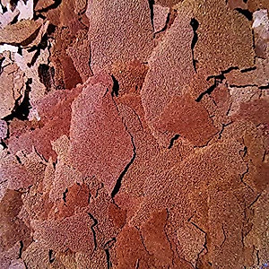 Ken's Ultra Intense Spirulina Flake 1 lb.