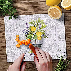 CounterArt Watercolor Lemons 3mm Heat Tolerant Tempered Glass Cutting Board 10” x 8” Manufactured in the USA Dishwasher Safe