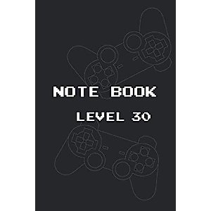 Gamer Notebook Level 30: Lined Notebook Level 30 / Journal / Dairy, 100 blank pages, 6 x 9 inches, Matte Finish Cover