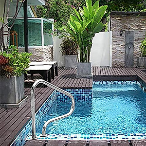 BTZHY Swimming Pool Handrails, 304 Stainless Steel Safety Handle, Pool Stair Rail Humanized Ladder Step Handrail for Garden Backyard Pools (1PCS)
