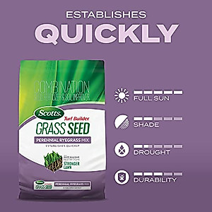 Scotts Turf Builder Grass Seed Perennial Ryegrass Mix with Fertilizer and Soil Improver, Establishes Quickly, 2.4 lbs.