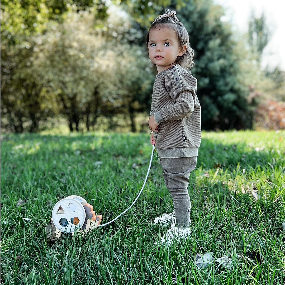 3 in 1 - Wooden Toddler Toy, Shape Sorting Toy, Pull Toy, & Stacking Toy, Toddler Blocks, Educational Toy for Baby Girls and Baby Boys, Montessori Toy for 1 Year Old & up hot Toy