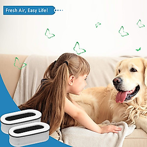 Rioche RP-AP068 H13 True HEPA 3-in-1 Replacement Filter, Compatible with RENPHO Compact Air Purifier RP-A068, 3-in-1 Pre-Filter, H13 True HEPA and Activated Carbon Filter, 2 Pack