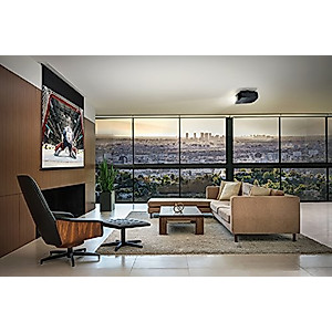 Sony VPLVW285ES 4K HDR Home Theater Video Projector