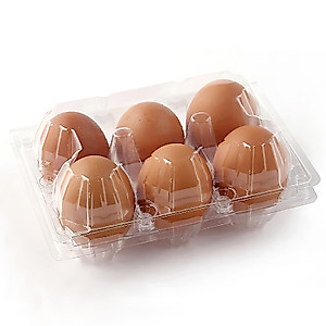 FUNSUEI 120 Pack 6 Eggs Clear Plastic Egg Cartons Bulk, Reusable Empty Egg Carton, Half Dozen Blank Chicken Egg Tray Holders for Family Storage, Pasture Farm, Market Display