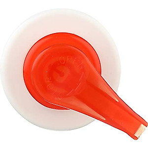 Derma E Anti-Wrinkle Cleanser – Anti-Aging Face Wash with Glycolic Acid and Vitamin A – Gentle Cleansing and Exfoliating Facial Wash Removes Makeup, Oil and Impurities, 6 oz