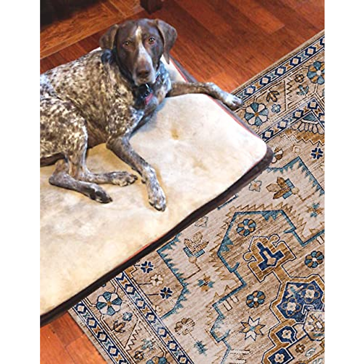 Linon The Anywhere Washable Rug Jones Ivory/Gold 3' X 5' Accent Rug