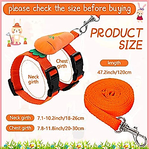 4 Sets Adjustable Bunny Rabbit Harness and Leash Set Small Pet Cute Vest Harness Leash Ferret Harness Guinea Pig Harness Ferret Leash with Decorations for Bunny Kitten Puppy, Small Pets (Fruit)