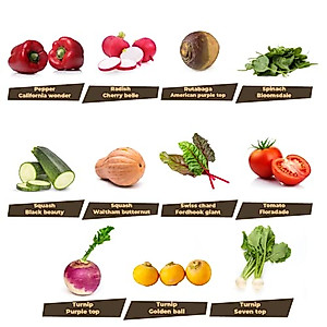 33 Variety Seed Bank Survival Gear 30,000 Premium Non-GMO Open Pollinated Heirloom Seeds Made in USA