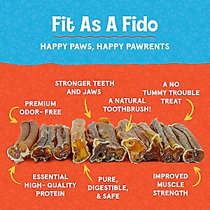 FETCHERONI Jumbo Bully Sticks for Dogs - 100% Beef, Rich Flavor - A Thick, Easily digestible Stick for Your Large Dog and Aggressive chewers -Dog Bully Sticks for Large Dogs (12 Inch, 5 Pack)