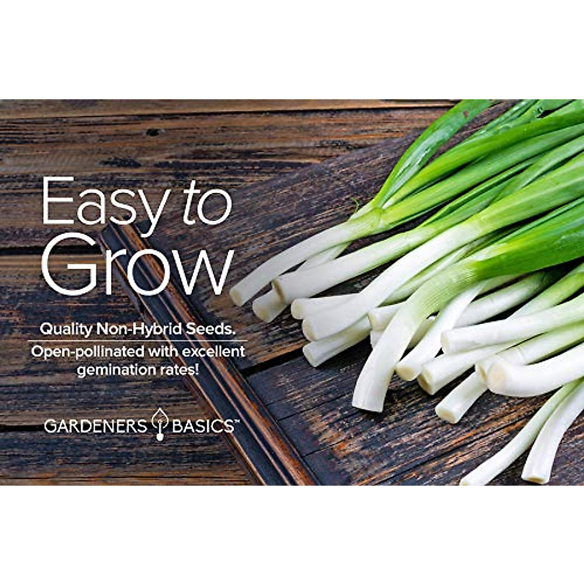 Green Onion Seeds for Planting - Tokyo Long White Bunching is A Great Heirloom, Non-GMO Vegetable Variety- 200 Seeds Great for Outdoor Spring, Winter and Fall Gardening by Gardeners Basics