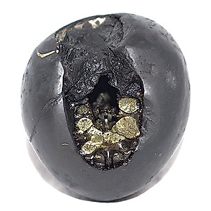 Adwaitya Golden ChinnaMasta Dasha MahaVidya Shaligram, Fossil, Fossil