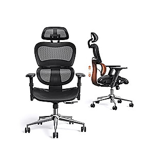 ErGear Office Chairs, Ergonomic Office Chair, Mesh Desk Chair with Adaptive Lumbar Support, High Back Computer Chair with Adjustable backrest Height and Headrest, Swivel Mesh Chair for Home Office