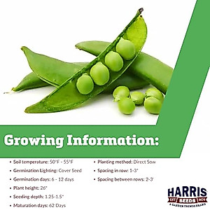 Garden Trends - Pea Seeds - Sugar Sprint Variety - Treated, Non-GMO Vegetable for Outdoor Planting Home Garden - Compact Vines - Edible, Stringless Pods - 100 Seeds