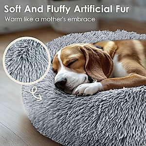 Hoewina Dog & Cat Bed, 20in Cat Beds for Indoor Cats, Calming Donut Bed for Puppy and Kitten, Washable Round Fluffy Pet Bed for Small Medium Dogs and Cats (Light Grey)