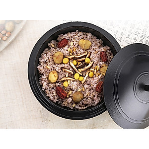Hansang IH Induction Ceramic Cauldron Korean Traditional Pot All Heat Sources Cookable (20CM 2.7L)