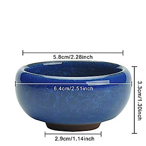 Succulent Plant Pot, My Decor 12 Pcs 2.5 Inch Ceramic Ice Crack Cactus Plant Pot /Flower Pot/ Container/ Planter