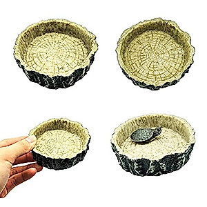 Ailindany Reptile Bowl Tortoise Water Dish Food Bowl Feeders Water Dish Resin Made for Amphibians Gecko Snakes Lizard Chameleon