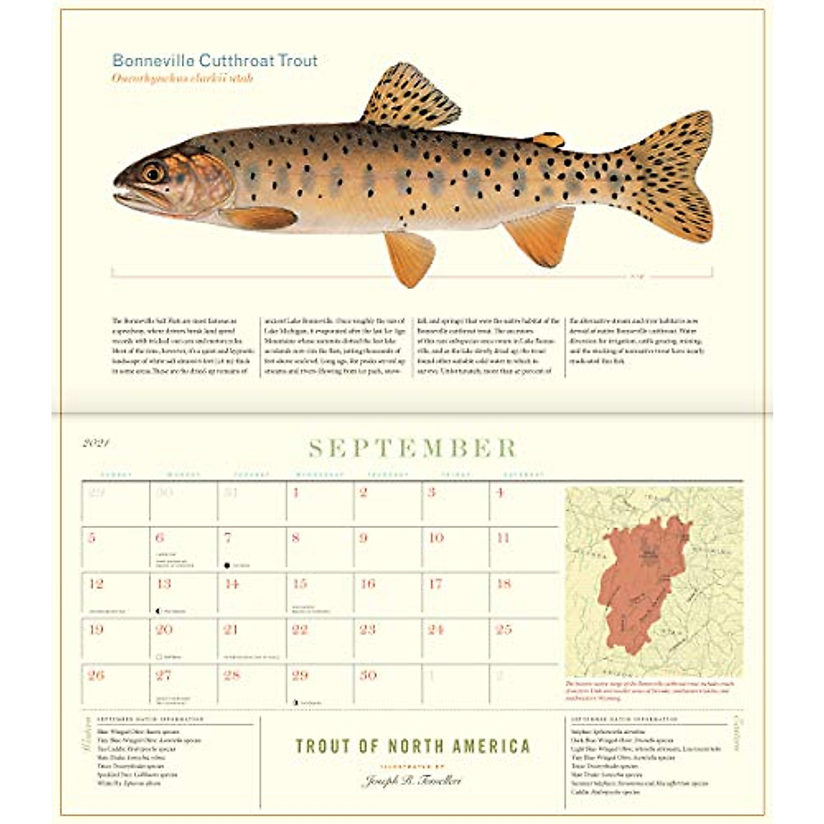 Trout of North America Wall Calendar 2021