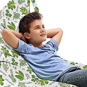 Lunarable Herb Lounger Chair Bag, Healthy Spices and Their Names Cooking Essentials with Fresh Leaves Organic Theme, High Capacity Storage with Handle Container, Lounger Size, Multicolor