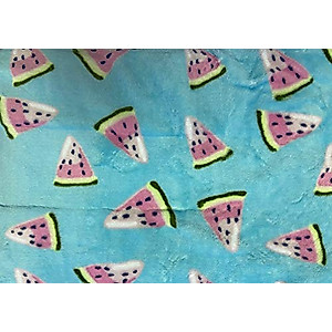Summertime Whimsy Plush Watermelon Fleece Throw Blanket (50" x 60") - Watermelon Slices, for Men, Women and Kids
