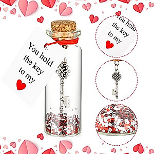 Anniversary Romantic Gift for Her You Hold The Key to My Heart Romantic Bottle, Tiny Glass Love Wish Jar Romantic Message with Bottle, Gifts for Anniversary(Classic Style)
