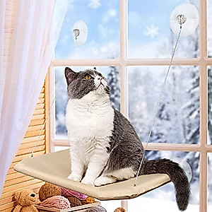 PETPAWJOY Cat Window Perch, Strong Suction Cups Easy Clean Safety Cat Hammock Window Seat for Large Fat Cat or Double Cats (Up to 50lbs)