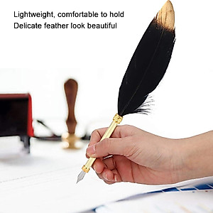 TOPINCN Retro Quill Pen Set Classical Metal Calligraphy Pen Kit Gift Box For Student(Black)