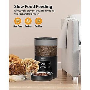 Molypet Automatic Cat Feeders with Timer - 4L Cat Food Dispenser of 6 Meals with 10S Voice Recorder and Desiccant Bag, Support Dual Power for Cats and Dogs