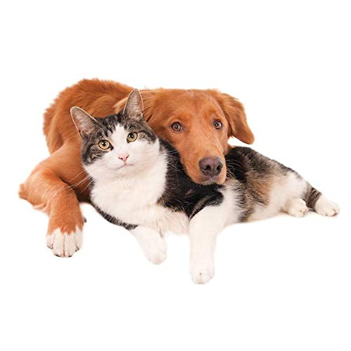 cat Fur Treats - Pets Hair and Coat Boost - for Dogs and Cats - Supports Healthy Skin Hair Nails - cat Vitamin b12-2 Bottles (120 Tablets)