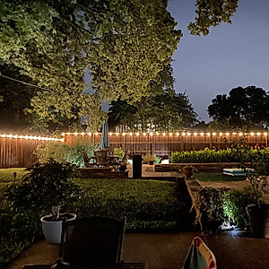 NIOSTA 10 Pack E12 Edison Bulb,ST38 Replacement Bulb for String Lights,120V/7W Incandescent Bulbs,Warm White