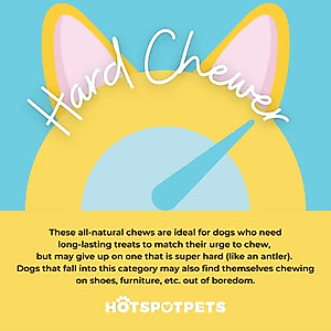 hotspot pets 5 Pack - 8-9 Inch Large Rawhide Dog Chew Bones - Made from Grass Fed Brazilian - Great for Dental & Oral Care for Aggressive Chewers Large Dogs (5 Pack)