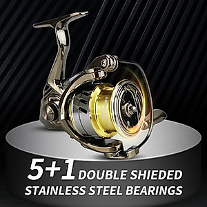 HISHARK Fishing Reel Spinning Reels, 5+1 Ball Bearings,6.2:1 Gear Ratio,HS 4000 Series, Ultra Smooth/Ultralight Perfect for Fishing